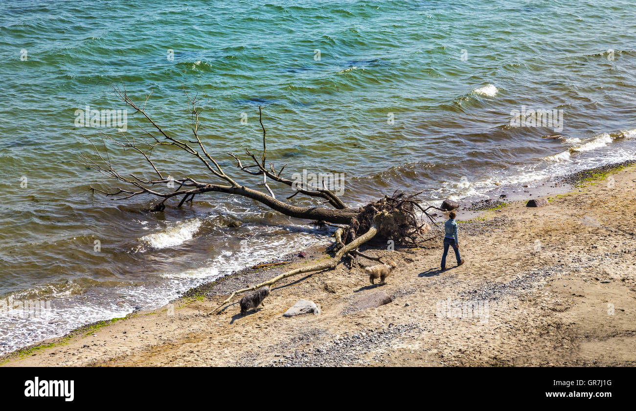 Storm mitigation hi-res stock photography and images - Alamy