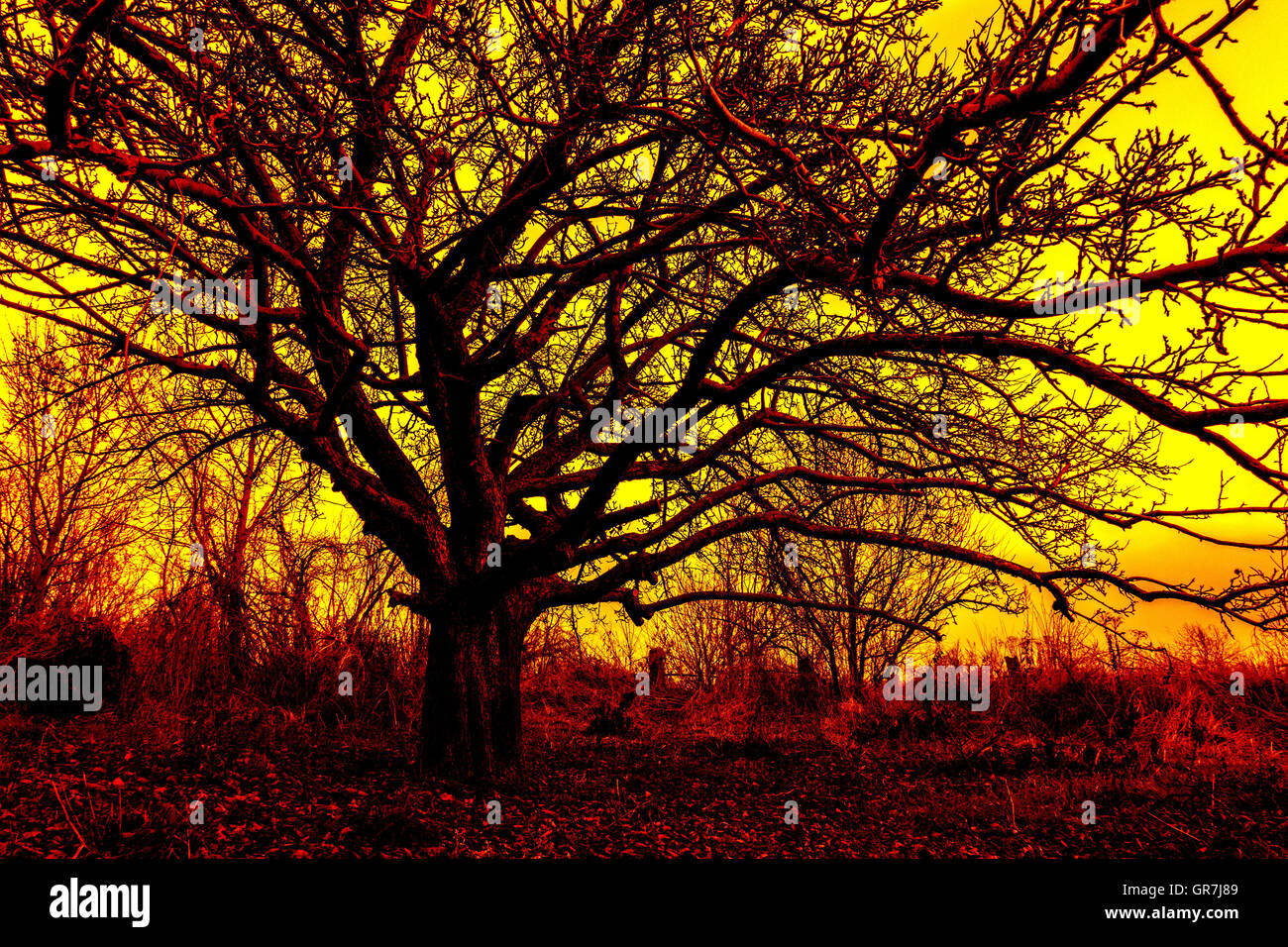 Twobole hi-res stock photography and images - Alamy