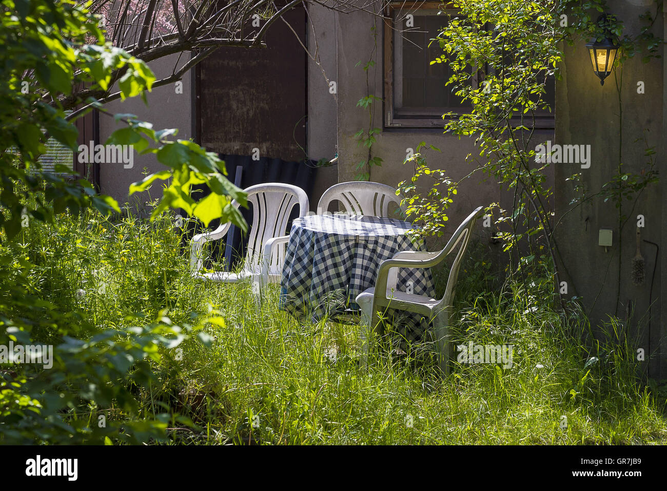 Messy garden hi-res stock photography and images - Alamy