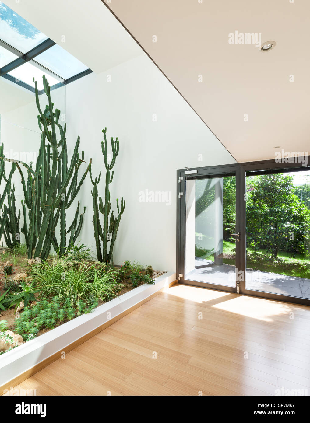 Wide angle plants hi-res stock photography and images - Alamy