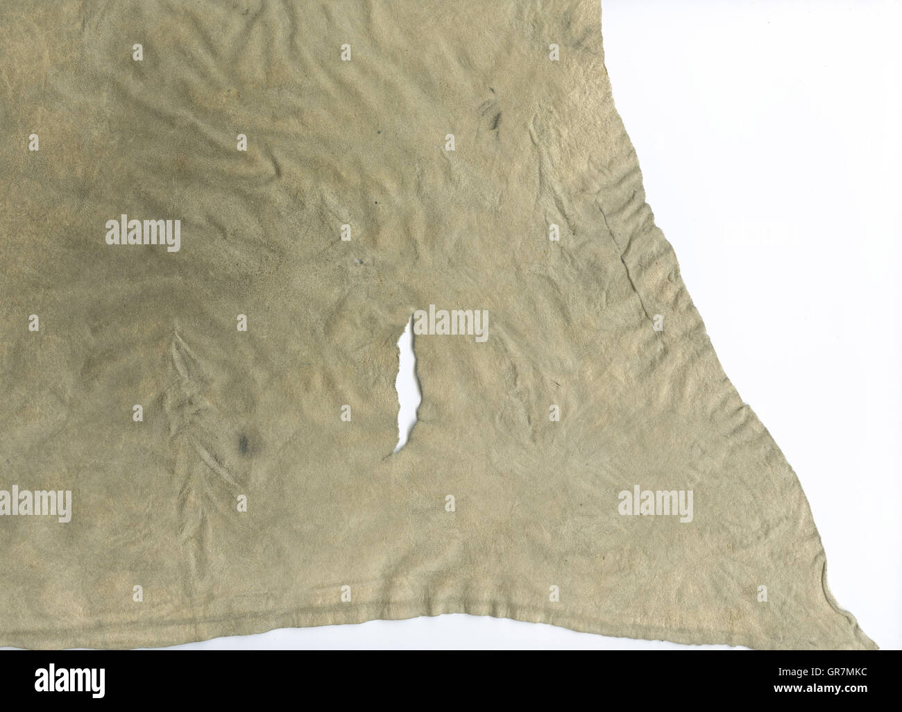 Shammy hi-res stock photography and images - Alamy