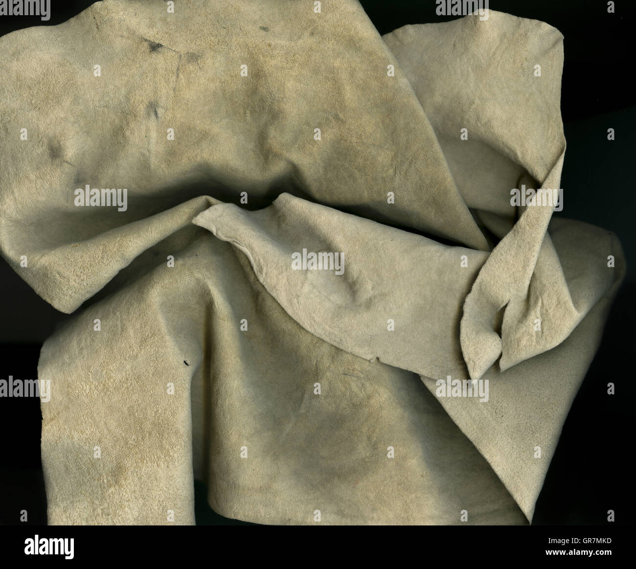 Shammy hi-res stock photography and images - Alamy