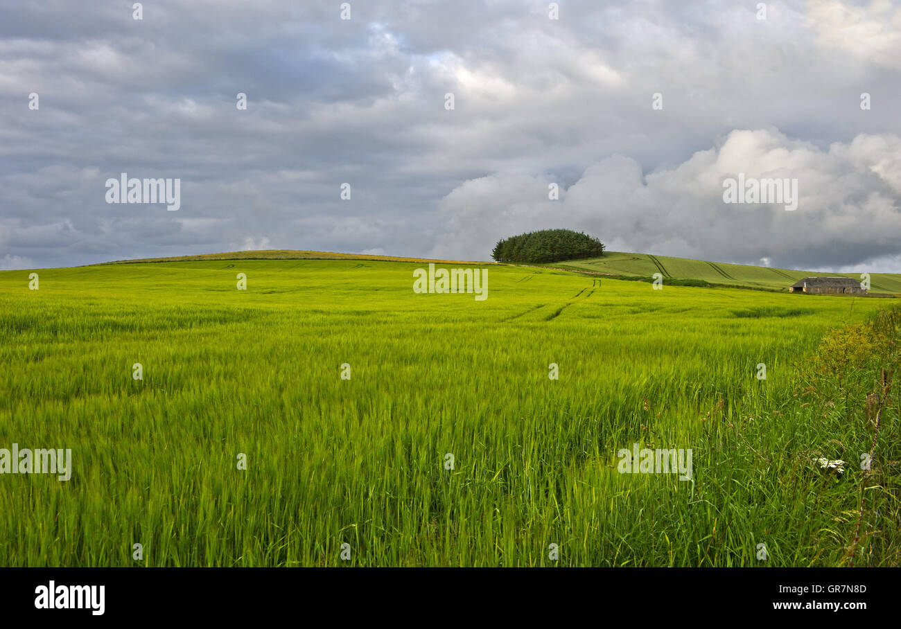 East neuk of fife hi-res stock photography and images - Alamy