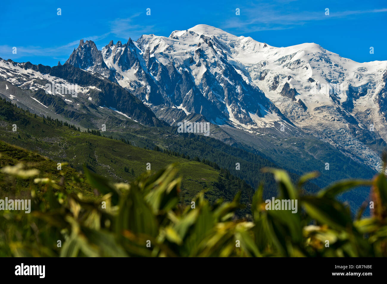 Mont Blanc Massif, Chamonix, Haute-Savoie, France Stock Photo - Alamy