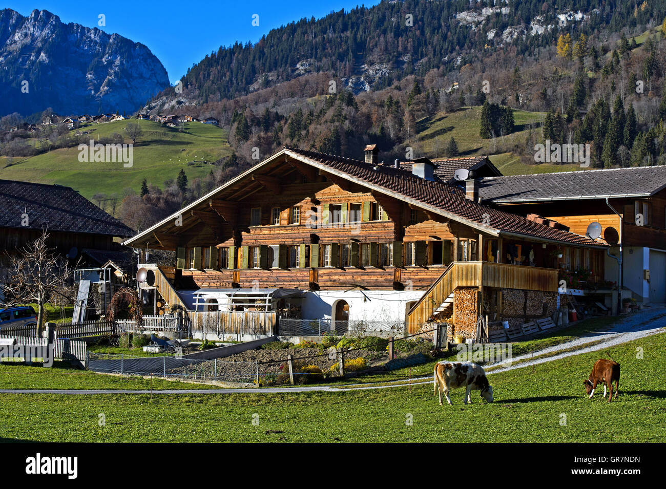 Switzerland simmental valley hi-res stock photography and images - Alamy