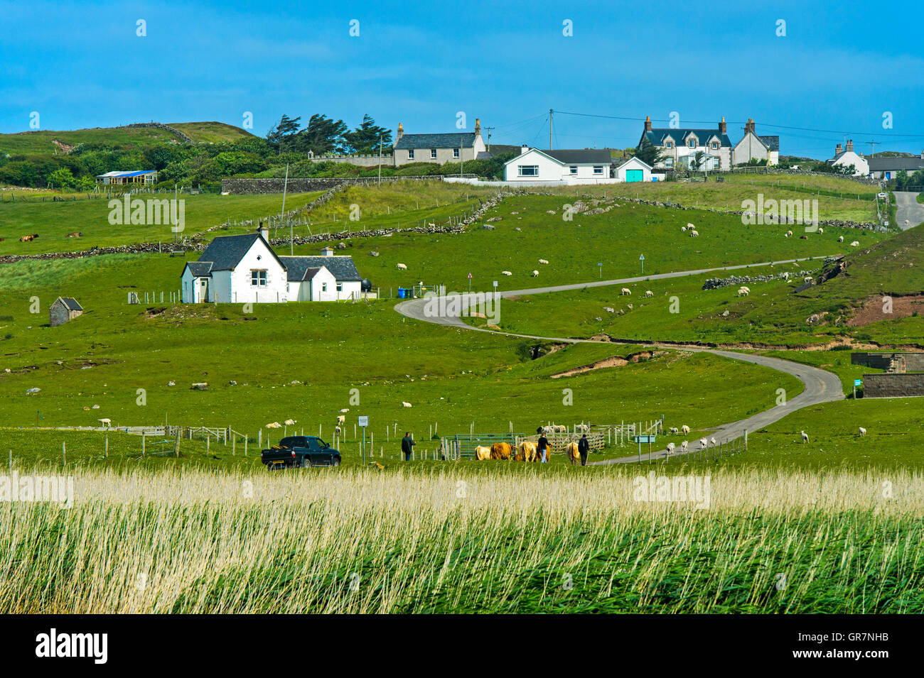 Crofting landscape hi-res stock photography and images - Alamy