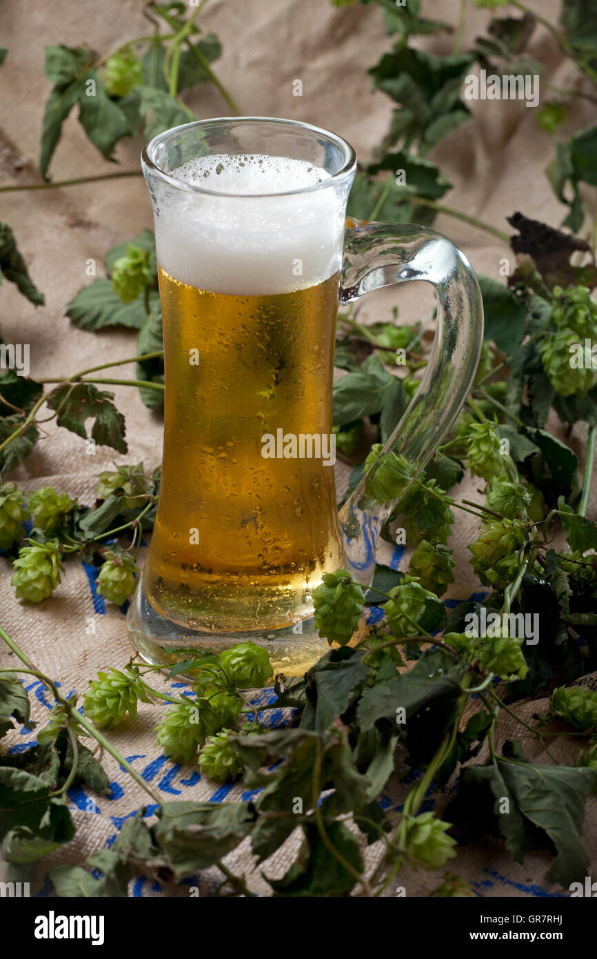 Beer aroma hi-res stock photography and images - Alamy