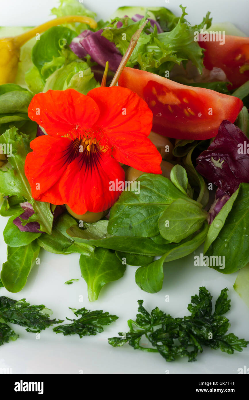 Edible flower hi-res stock photography and images - Alamy