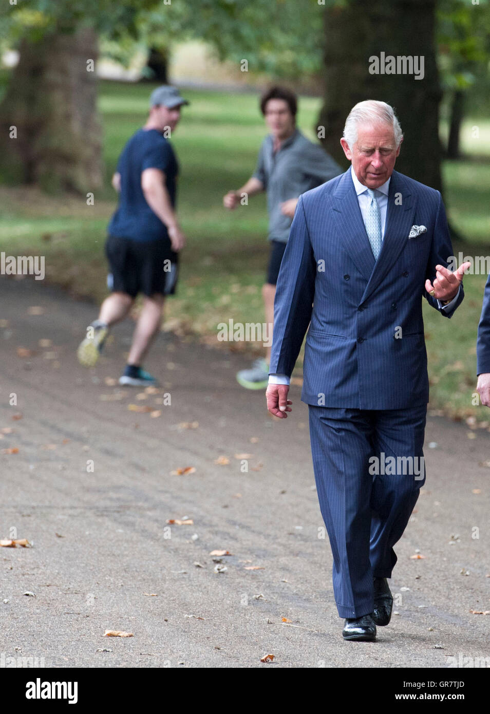 Which is part of his nationwide coronation meadows project hi-res stock ...