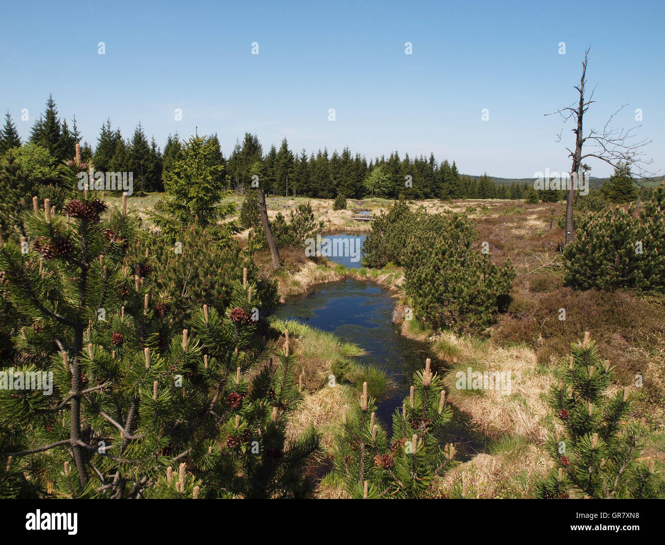 Georgenfelder hi-res stock photography and images - Alamy