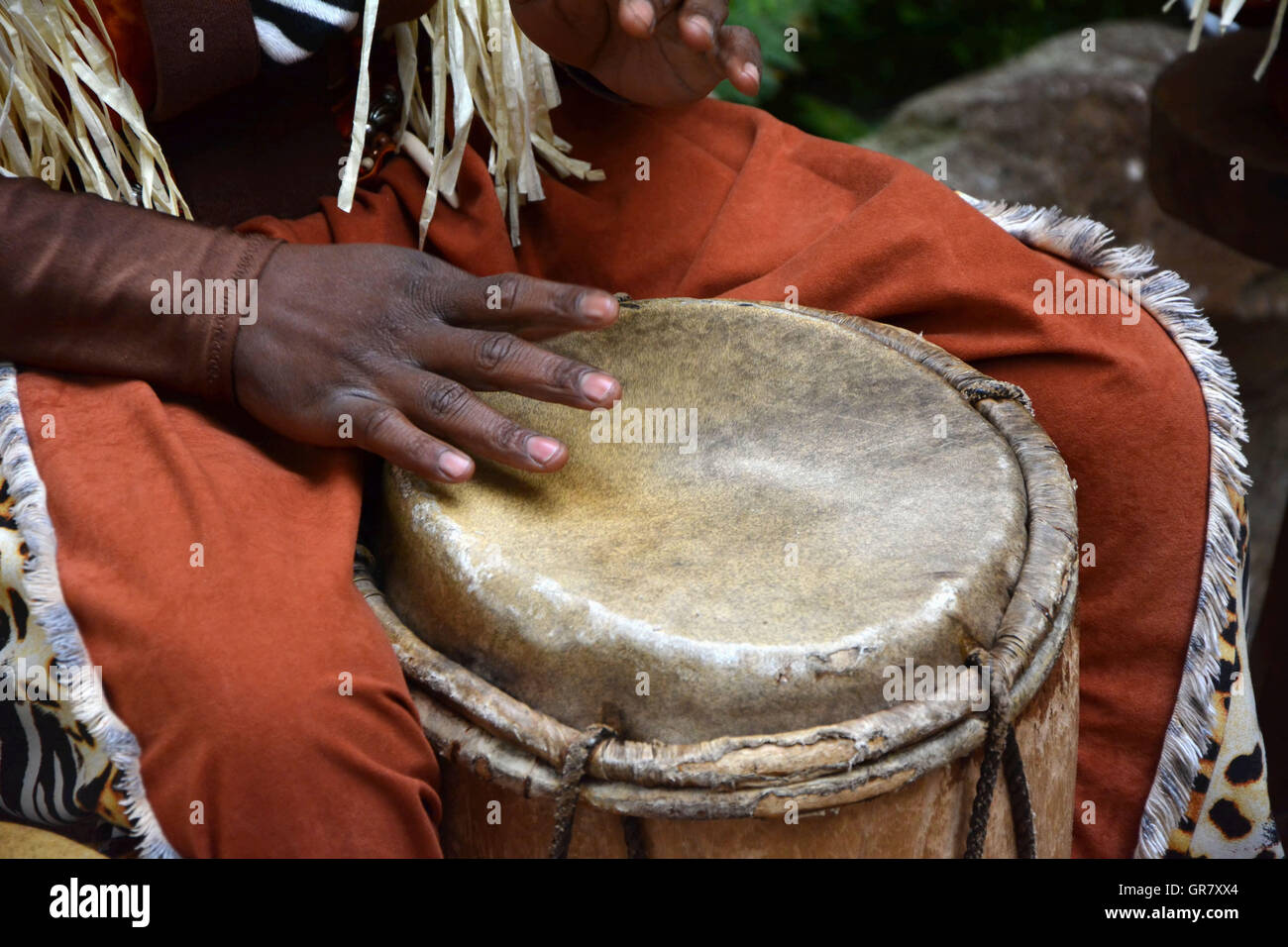 A African Djembe Drummer In Action Stock Photo - Alamy