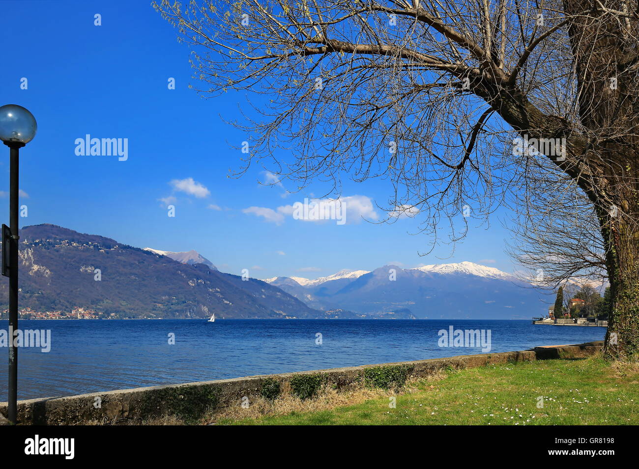 Como flora hi-res stock photography and images - Alamy