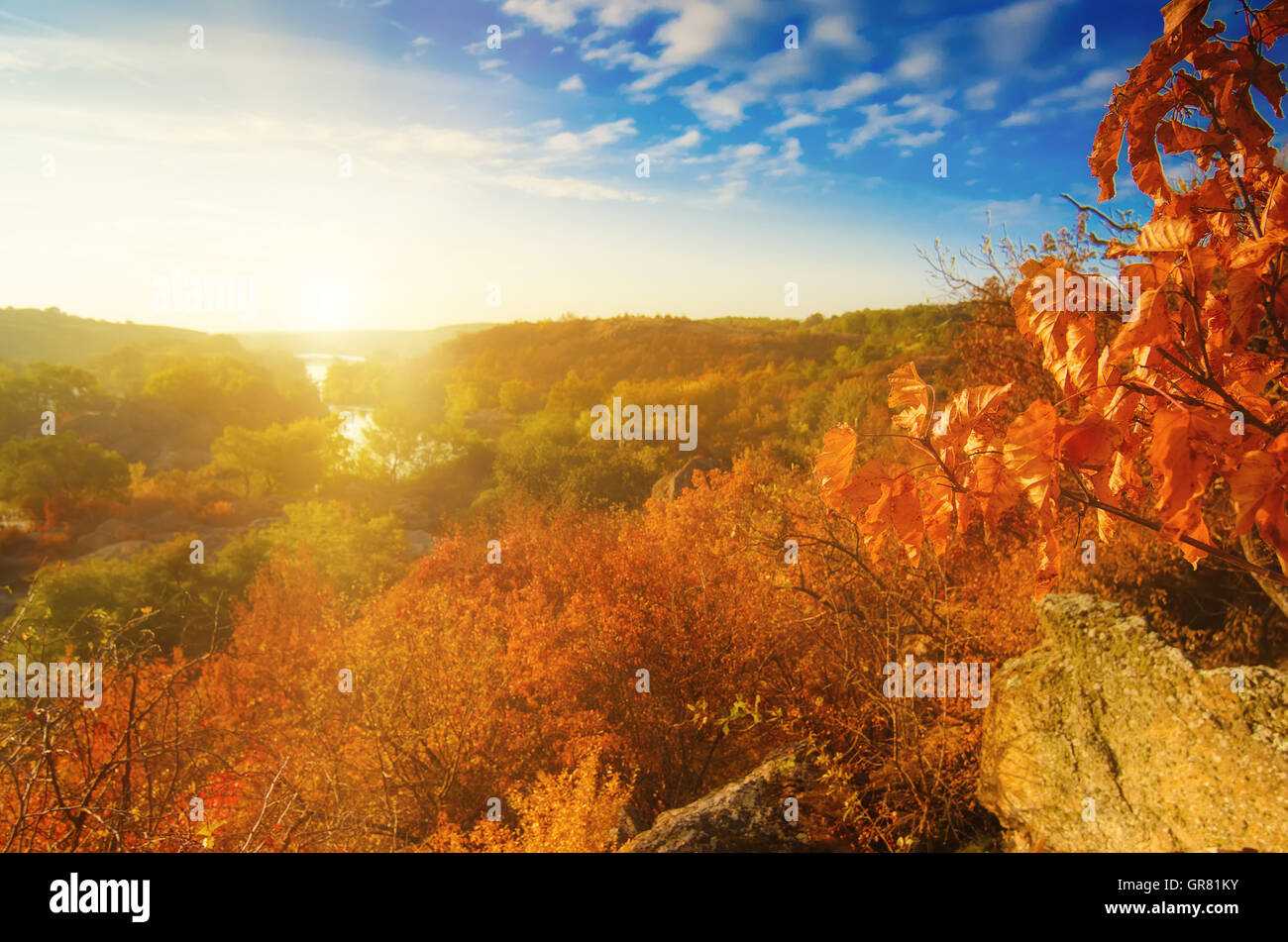 Rural autumn landscape Stock Photo - Alamy