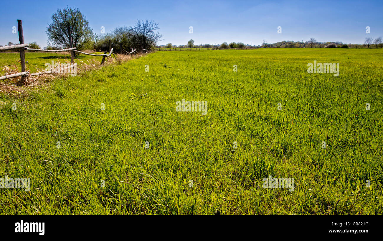 Field And Meadow Stock Photo - Alamy