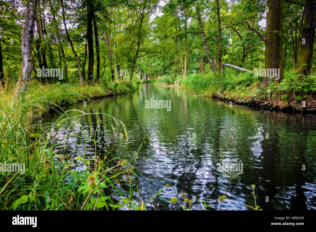 The Spreewald In Brandenburg Stock Photo - Alamy