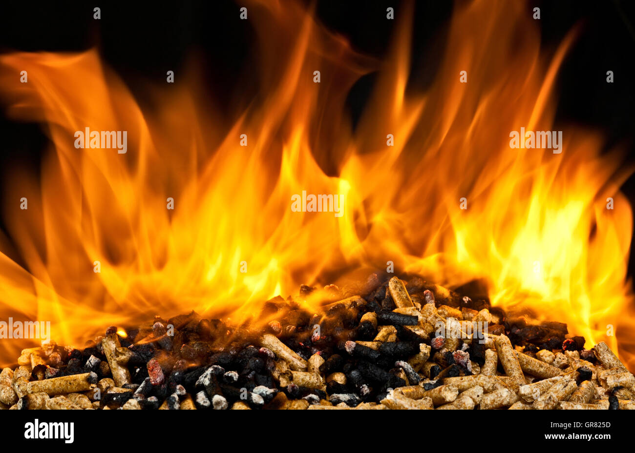 Biomass Fire