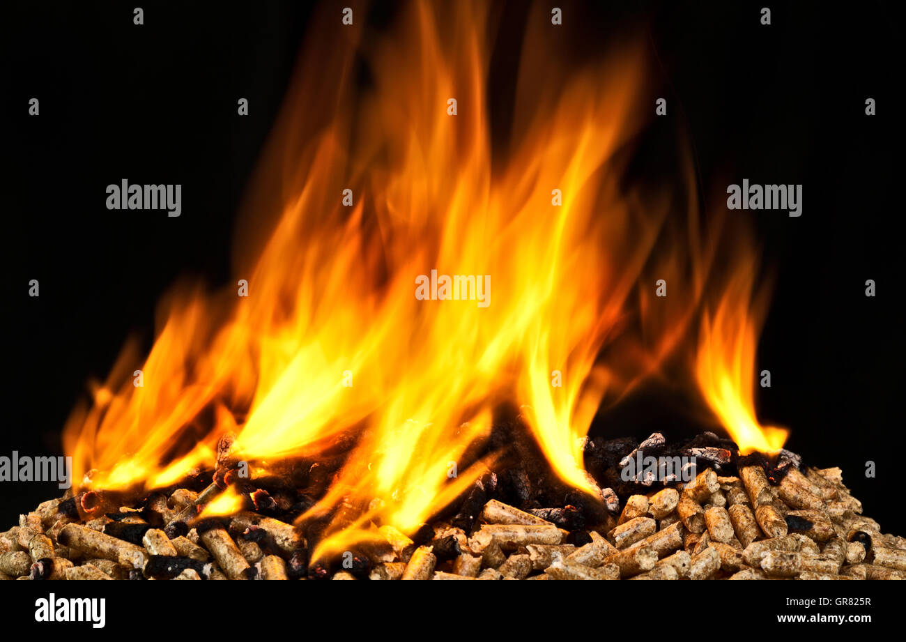 burning wood pellet with flame Stock Photo - Alamy