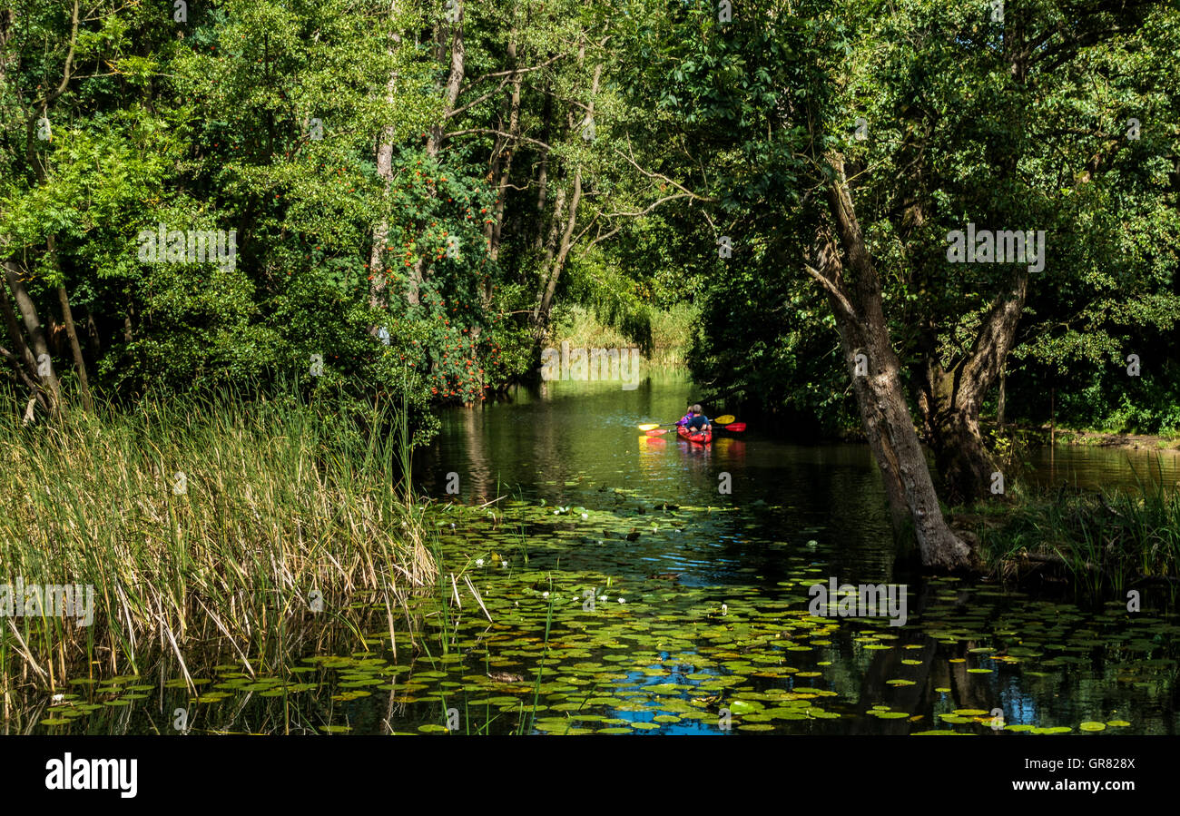 To kajak hi-res stock photography and images - Alamy