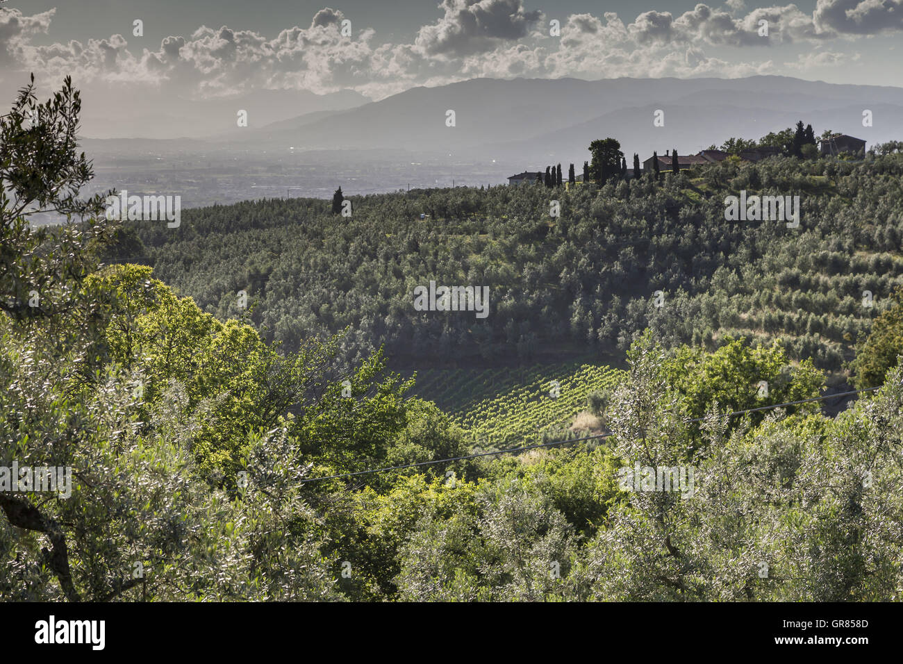 Anchiano hi-res stock photography and images - Alamy