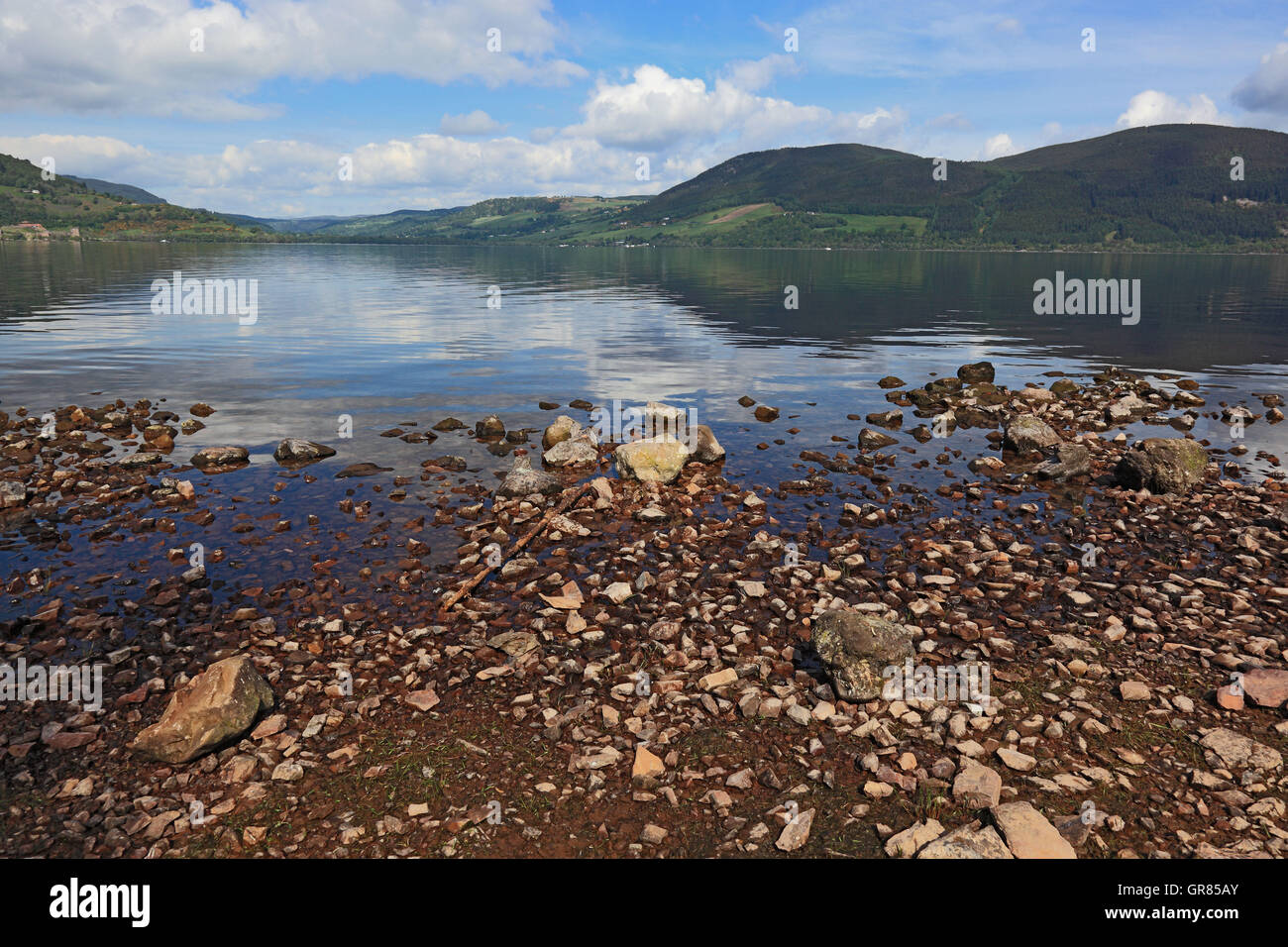 Scotland, highlands, scenery in the Loch Ness Stock Photo - Alamy