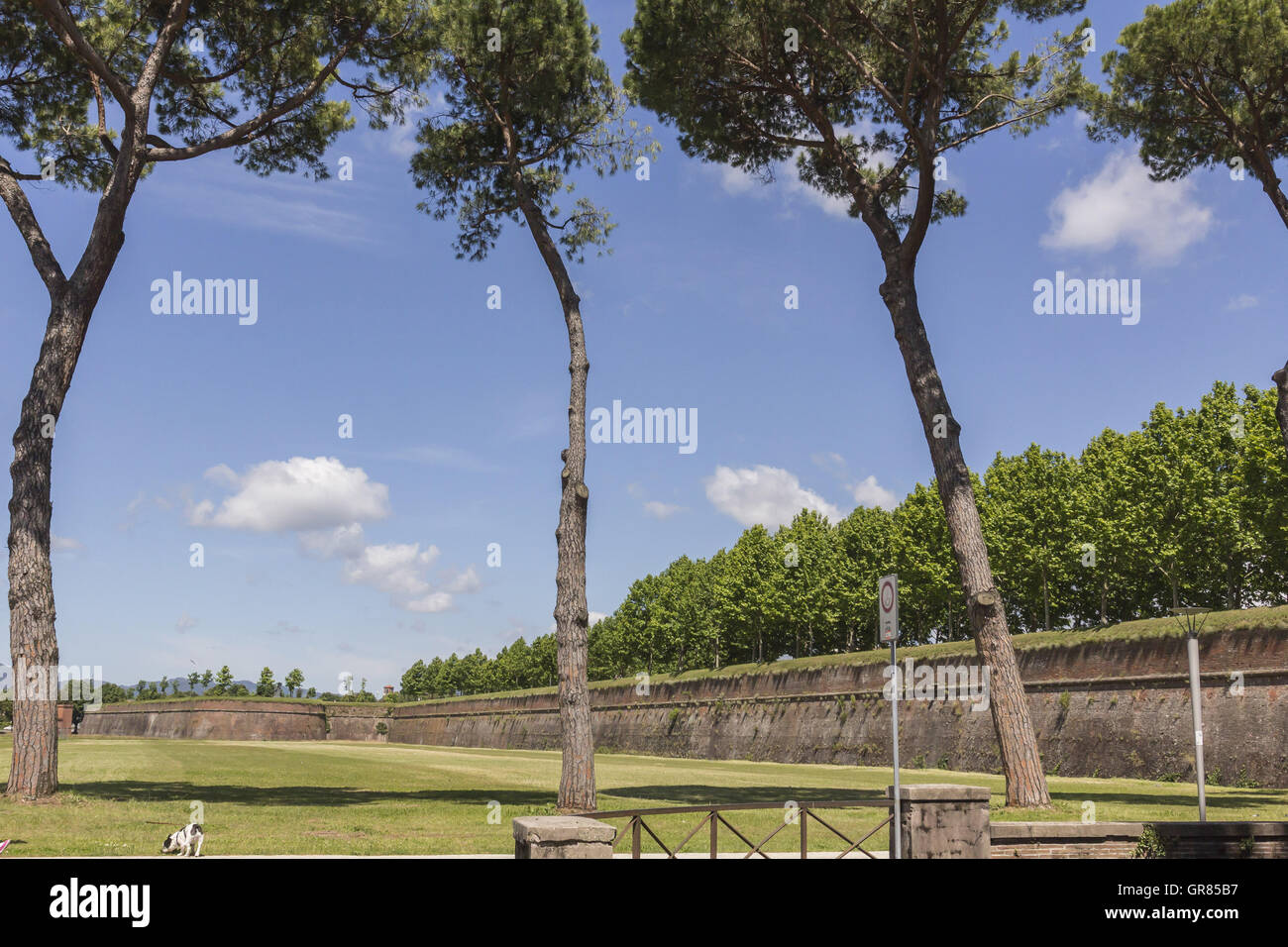 Lucca town wall hi-res stock photography and images - Alamy