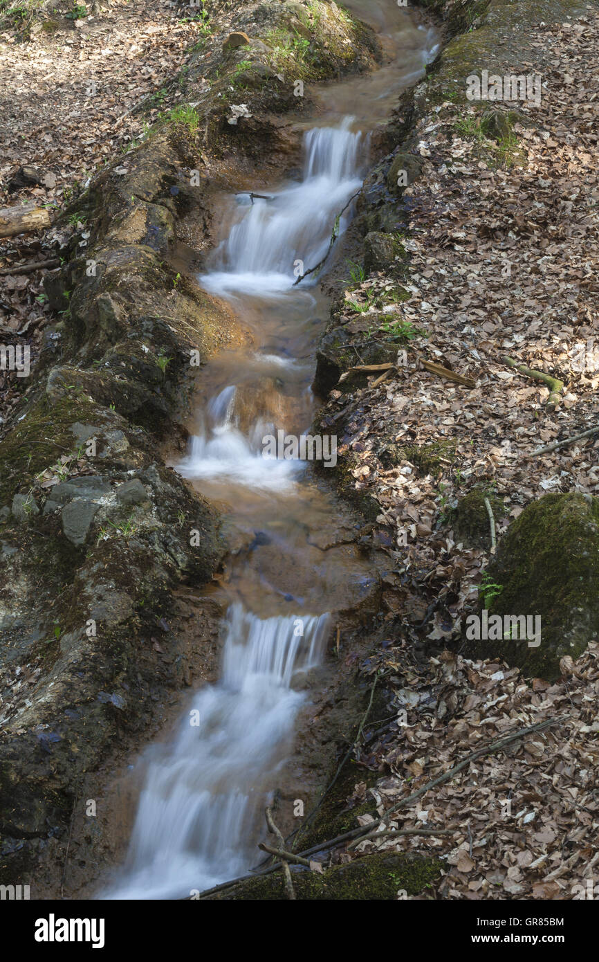 Small brook hi-res stock photography and images - Alamy