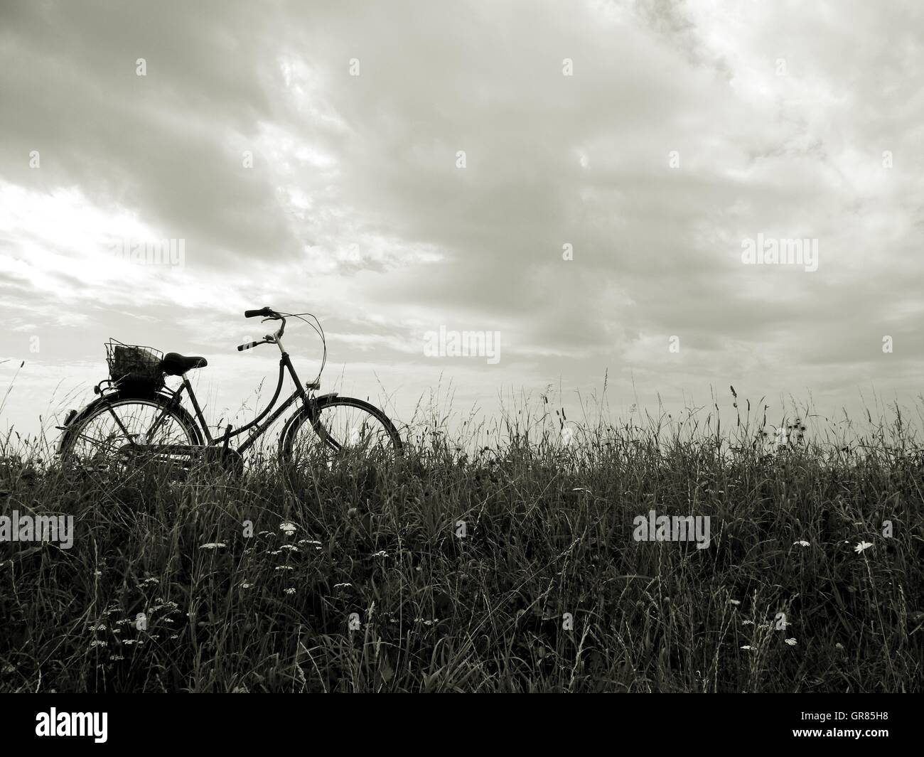 Lady with a bike hi-res stock photography and images - Alamy