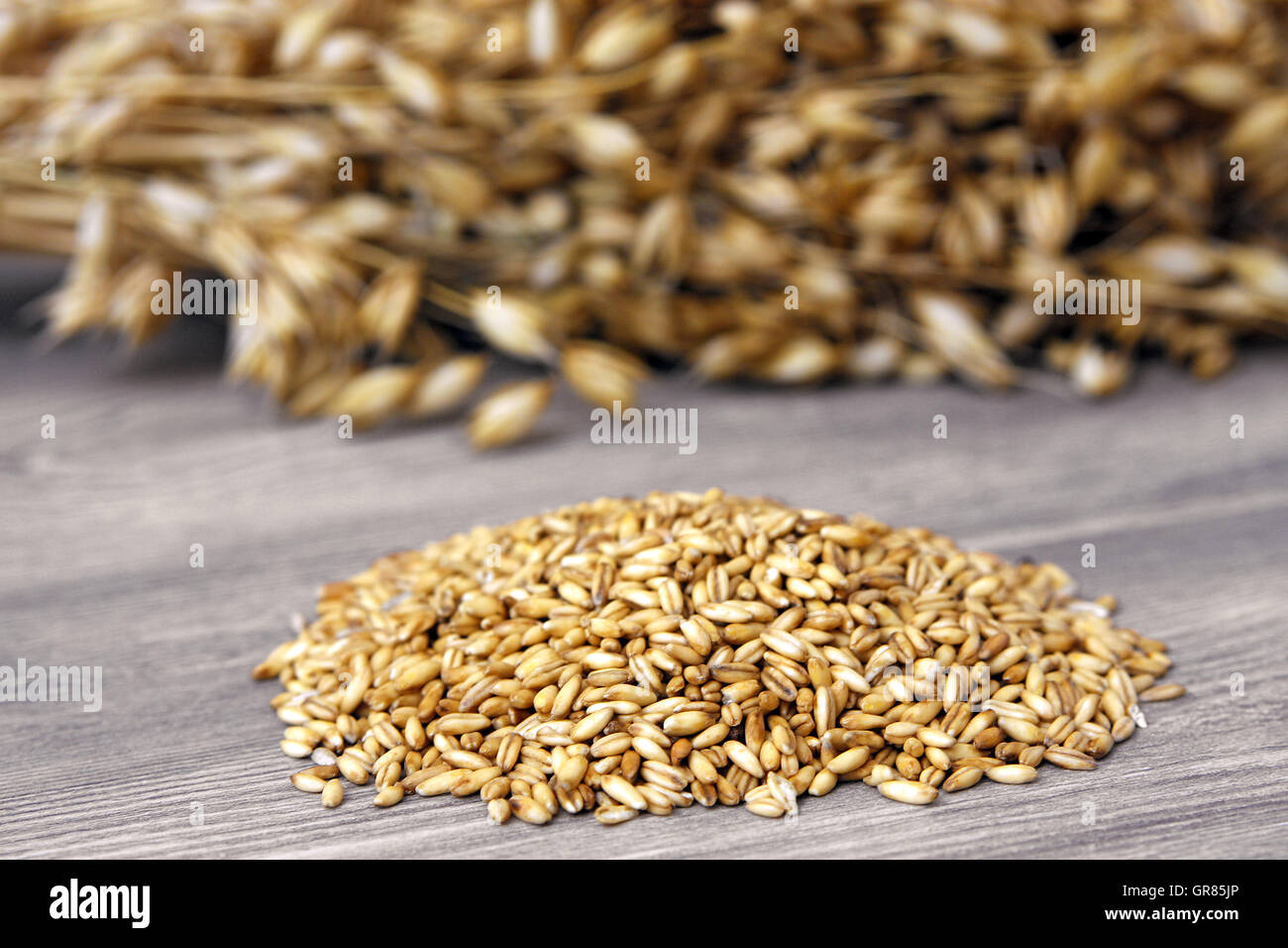 Sheaf of oats hi-res stock photography and images - Alamy