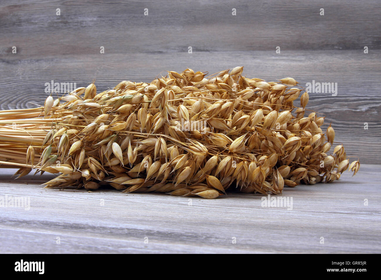 Sheaf of oats hi-res stock photography and images - Alamy