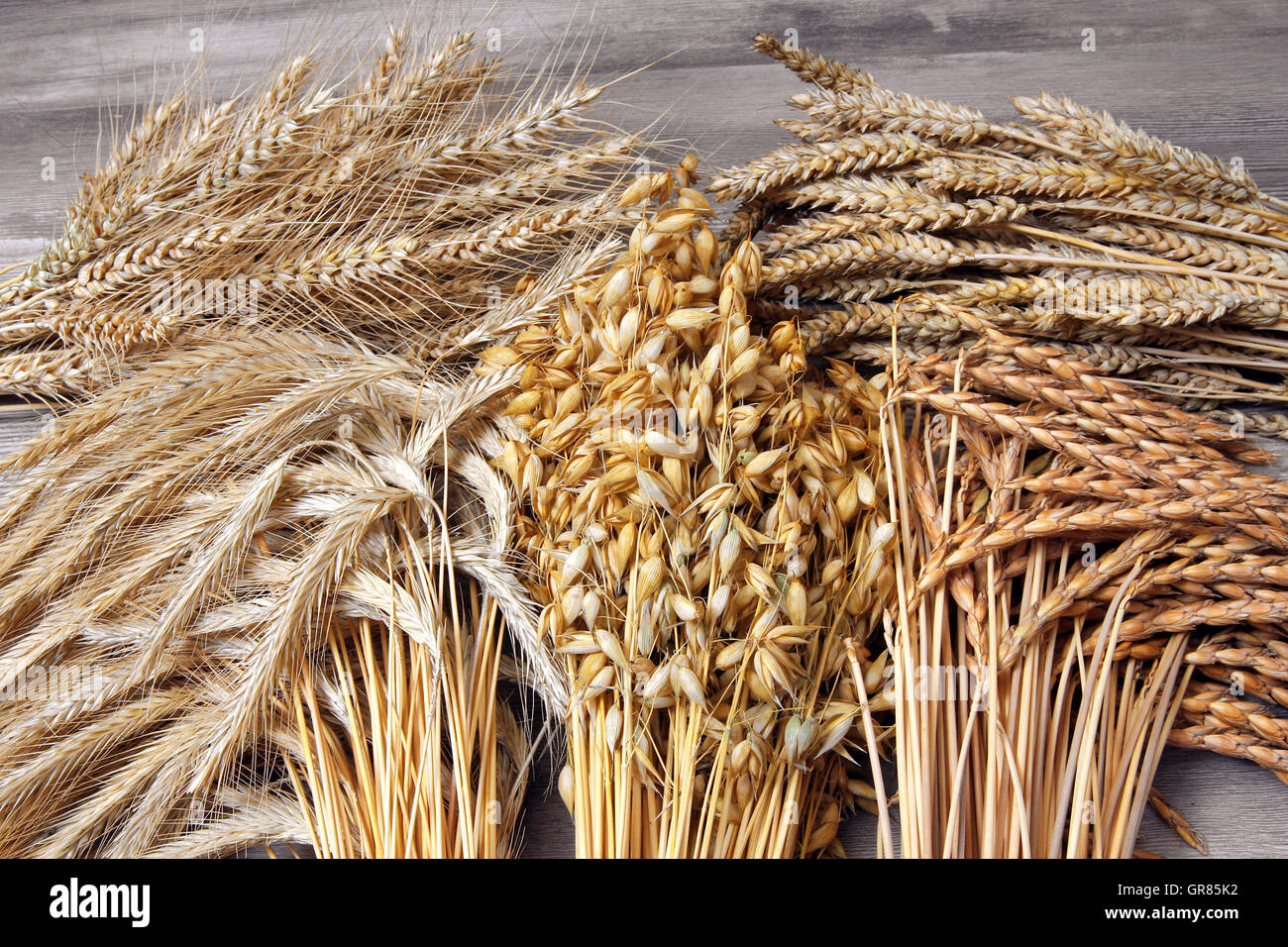 Sheaves of oats hi-res stock photography and images - Alamy