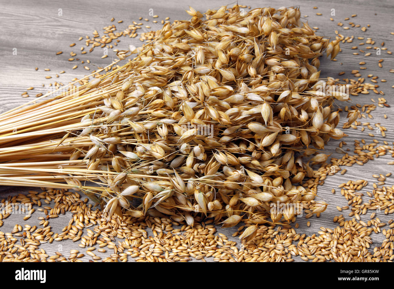 Sheaf of oats hi-res stock photography and images - Alamy