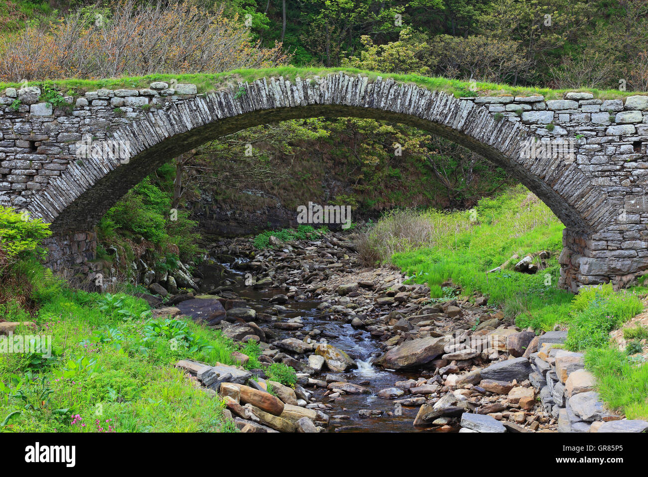 Scotland, highlands, old stone arched bridge with Latheronwheel Stock ...