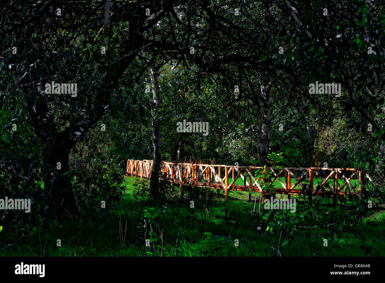 Swamp bridge hi-res stock photography and images - Alamy