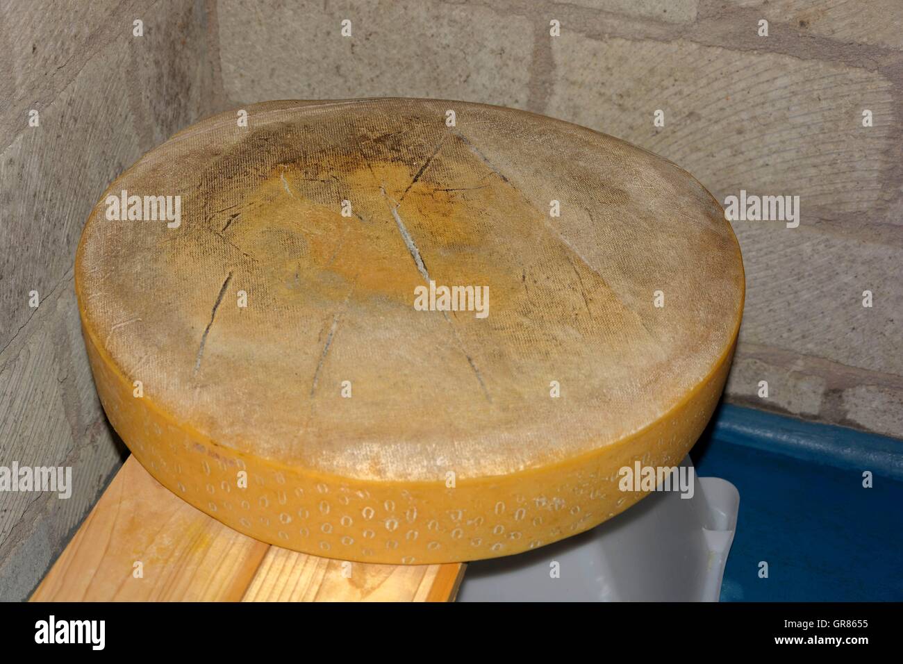 Big cheese hi-res stock photography and images - Alamy