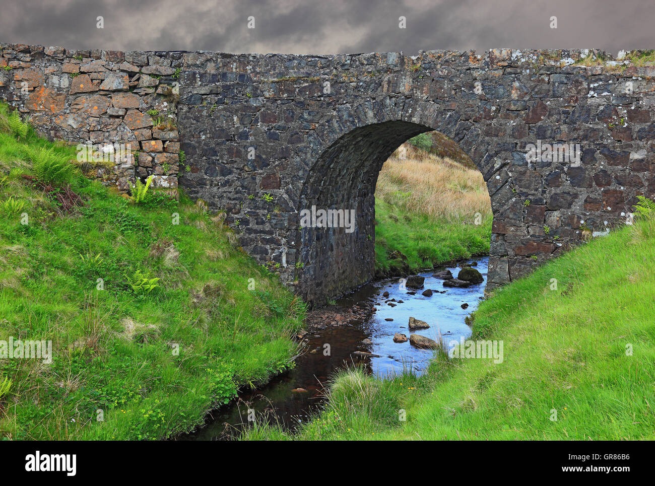 Scotland, the Inner Hebrides, Isle of Skye, Waternish peninsula, Fairy ...