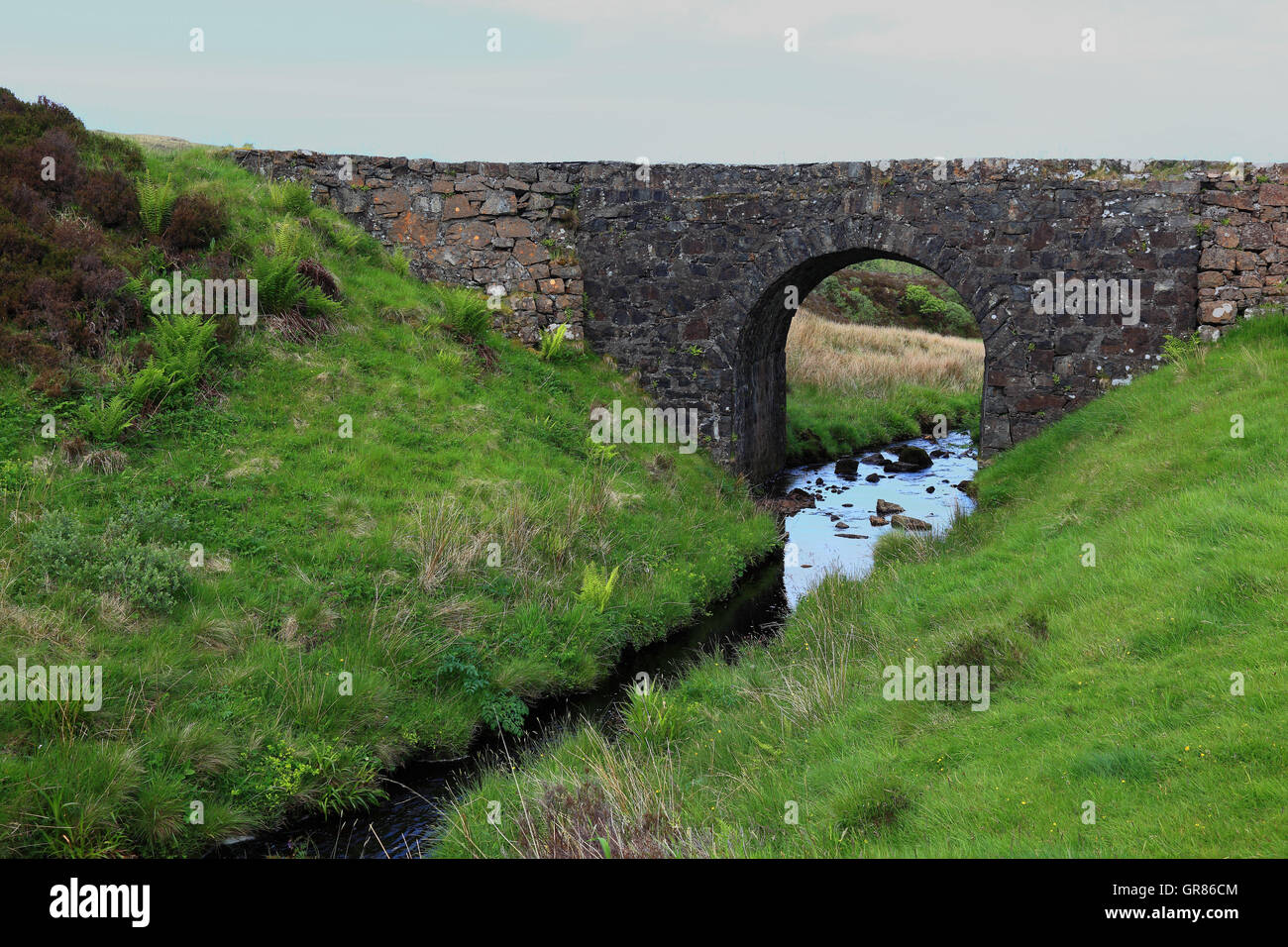 Scotland, the Inner Hebrides, Isle of Skye, Waternish peninsula, Fairy ...