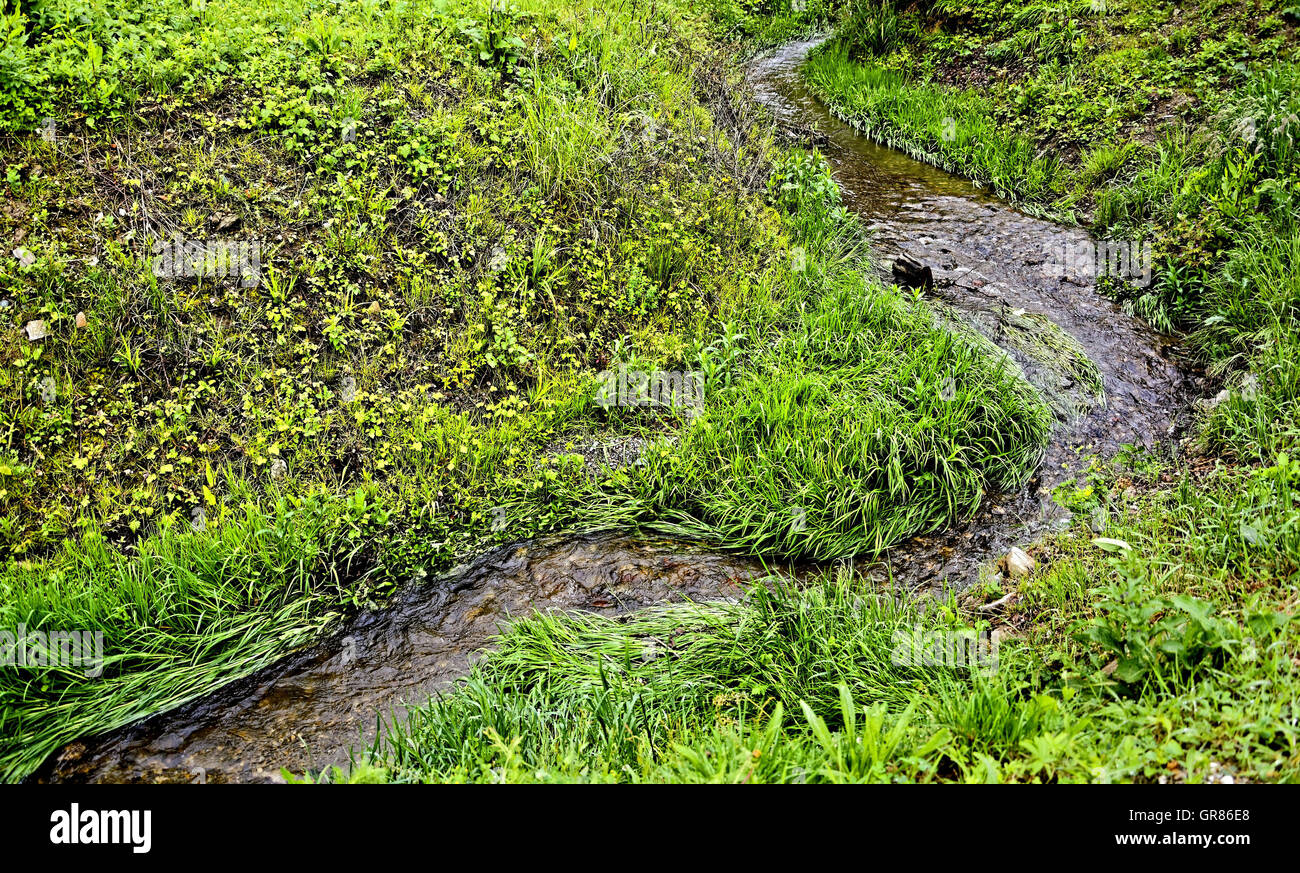 Perennial stream hi-res stock photography and images - Alamy