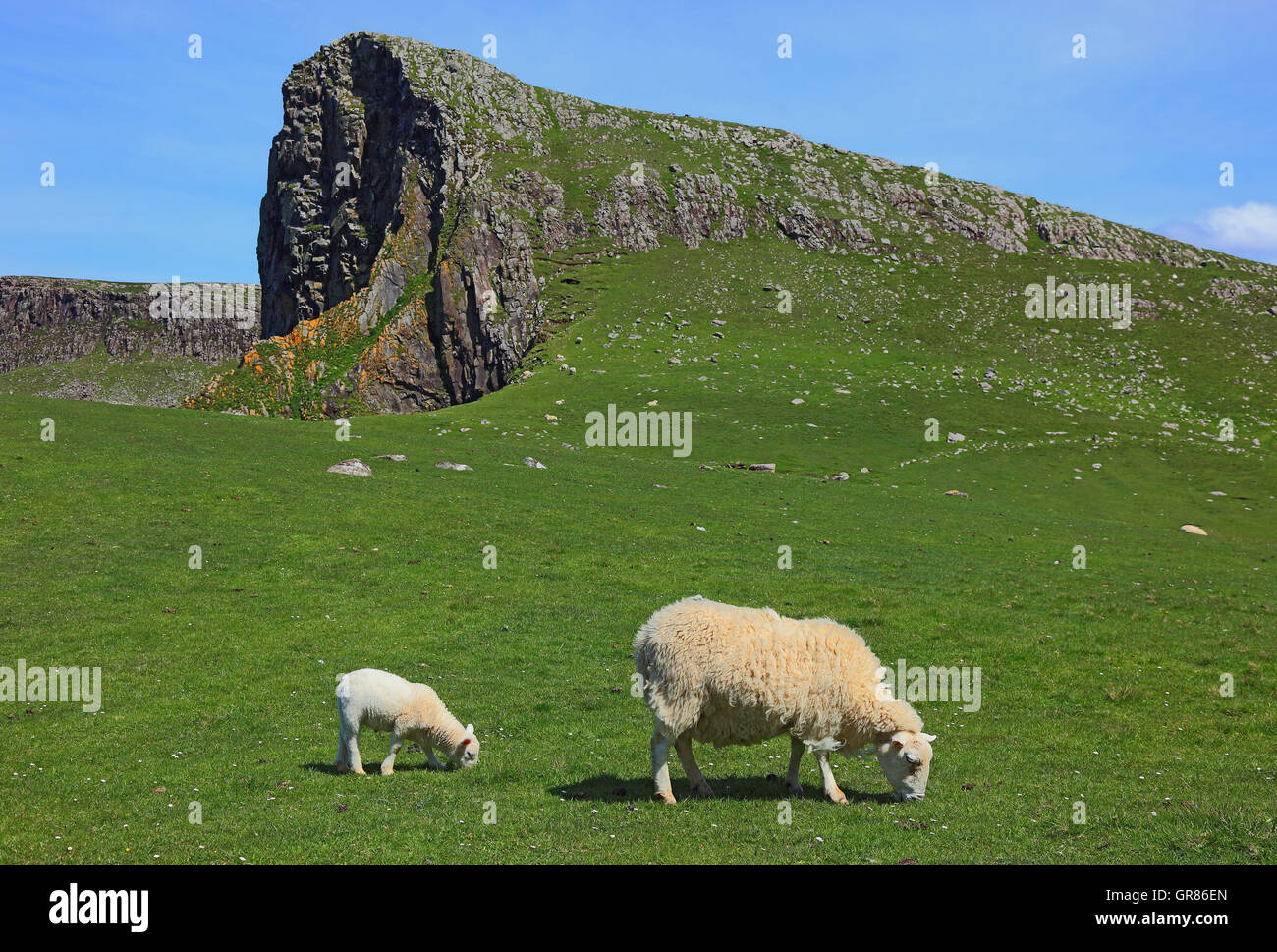 Scotland, the Inner Hebrides, Isle of Skye, Duirinish peninsula ...