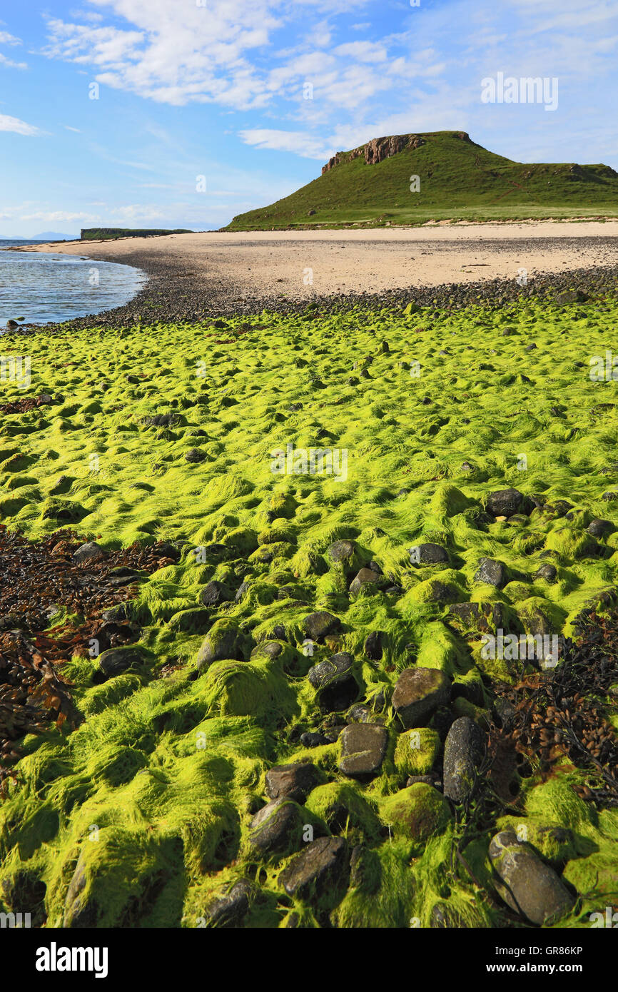 Scotland, the Inner Hebrides, Isle of Skye, Duirinish peninsula ...