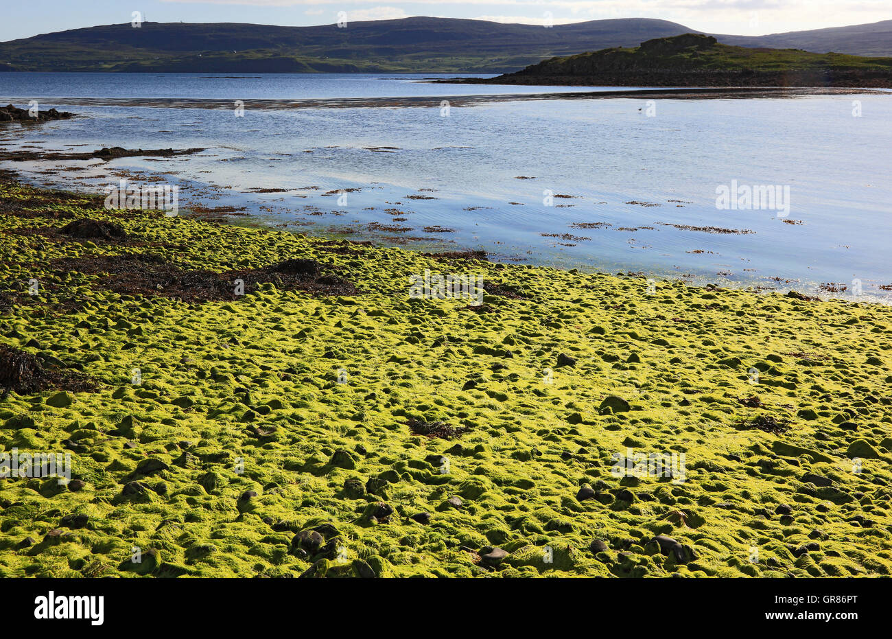 Scotland, the Inner Hebrides, Isle of Skye, Duirinish peninsula ...