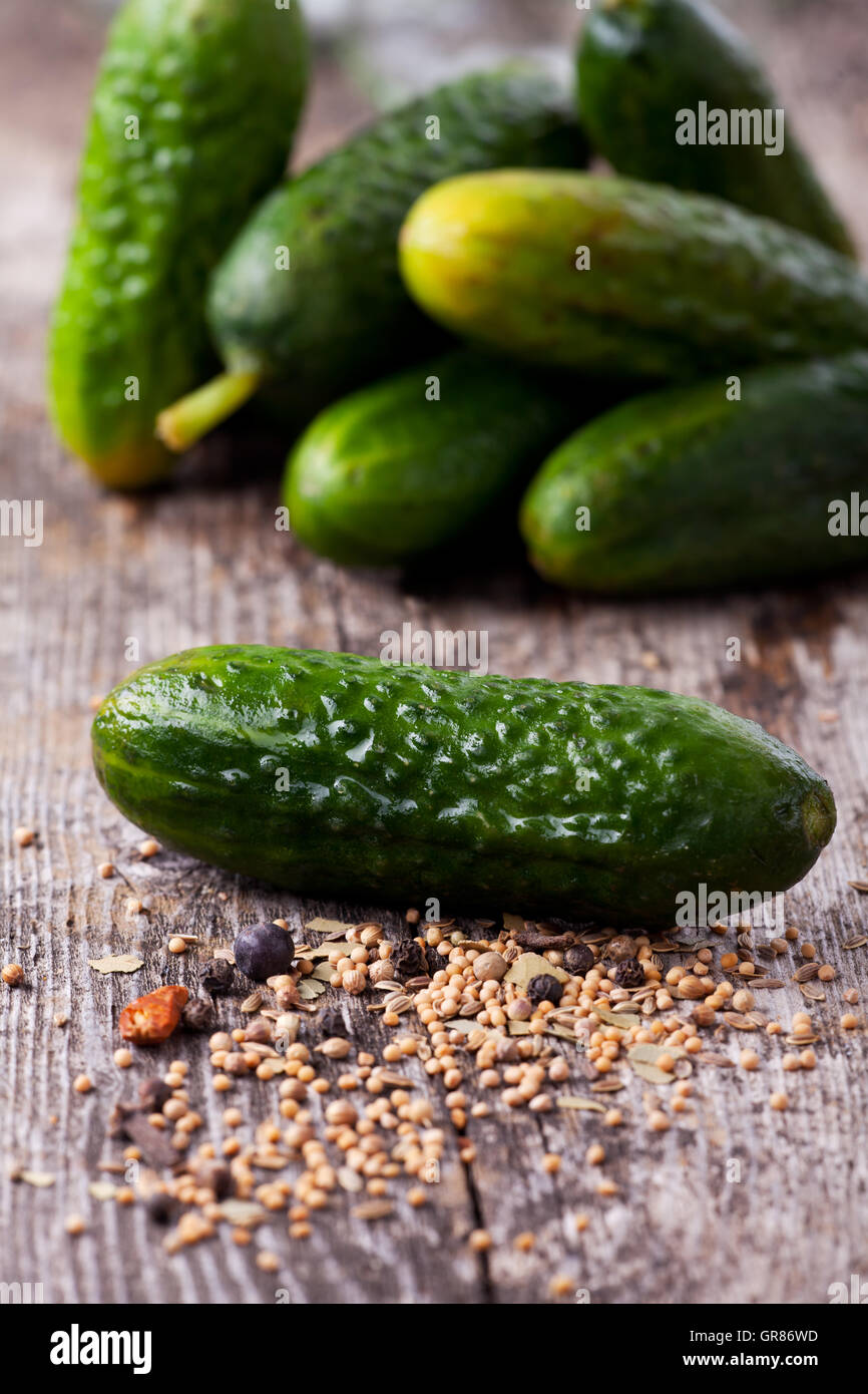 Seed gherkin hi-res stock photography and images - Alamy