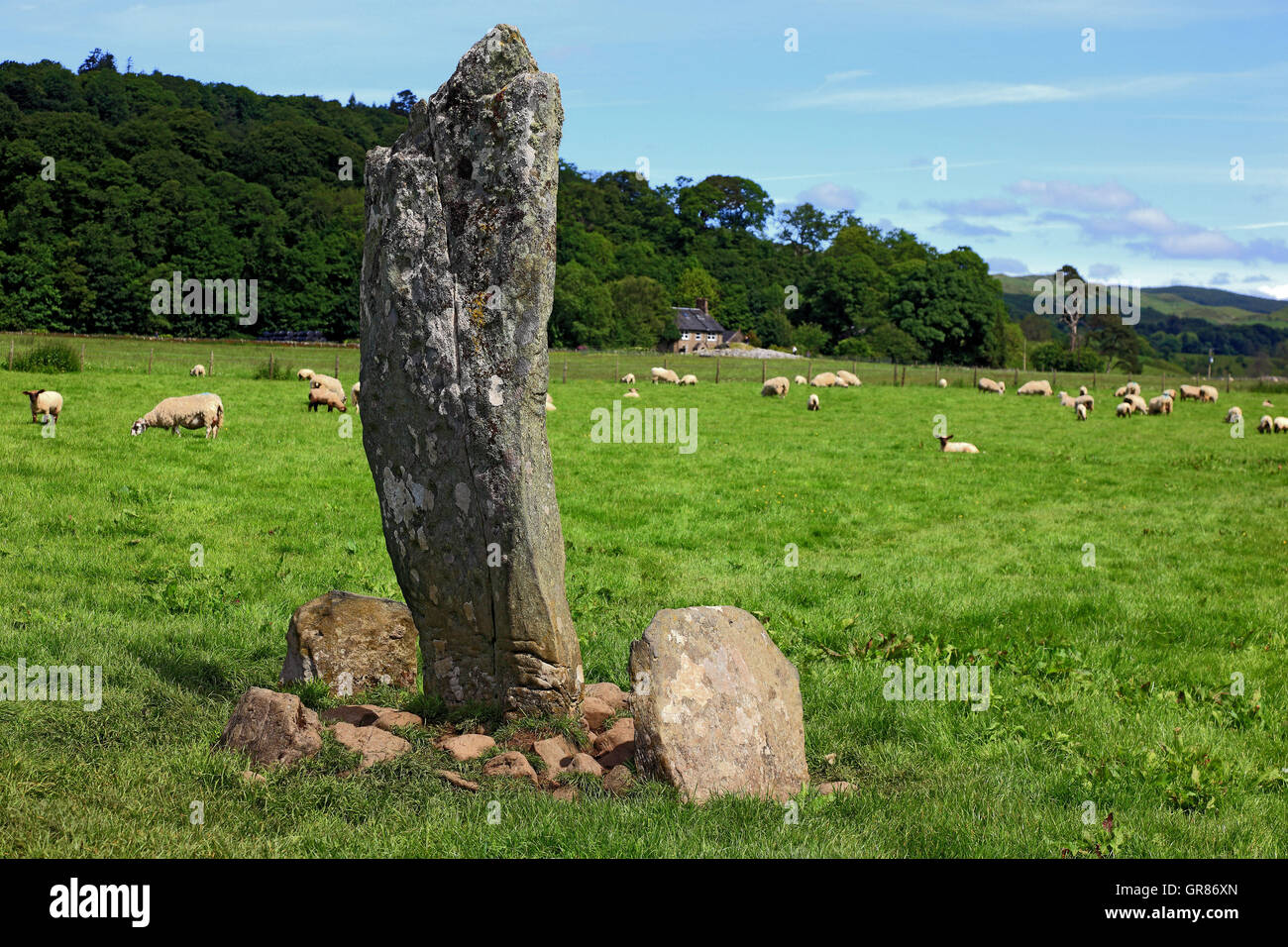 Scotland Kilmartin Glen Nether Largie Standing Stones Standing