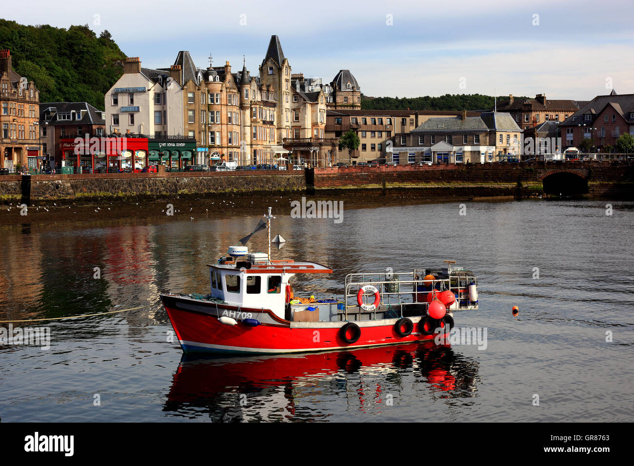 Scotland, Oban city, look about the harbour on the town Stock Photo - Alamy