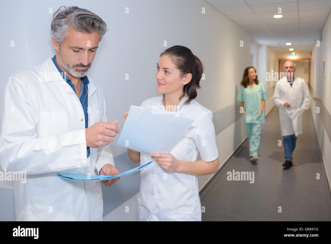 inspecting the files Stock Photo - Alamy