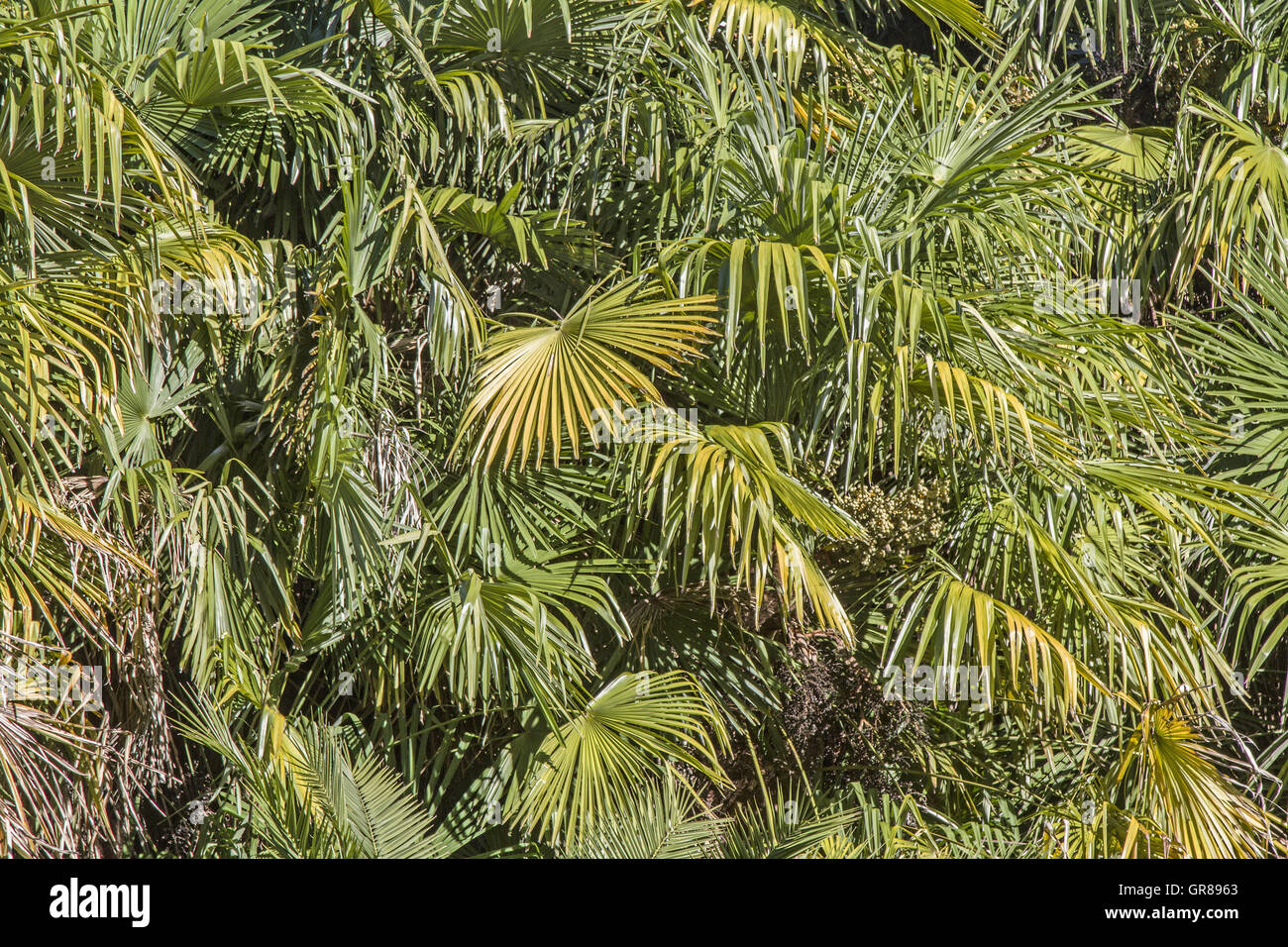 Frame filling hi-res stock photography and images - Alamy