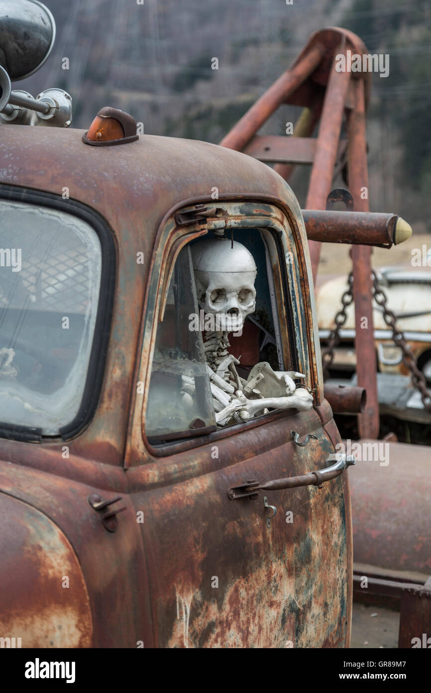 Death Travels With Skeleton At The Wheel Of An Old Junk Cars Stock ...