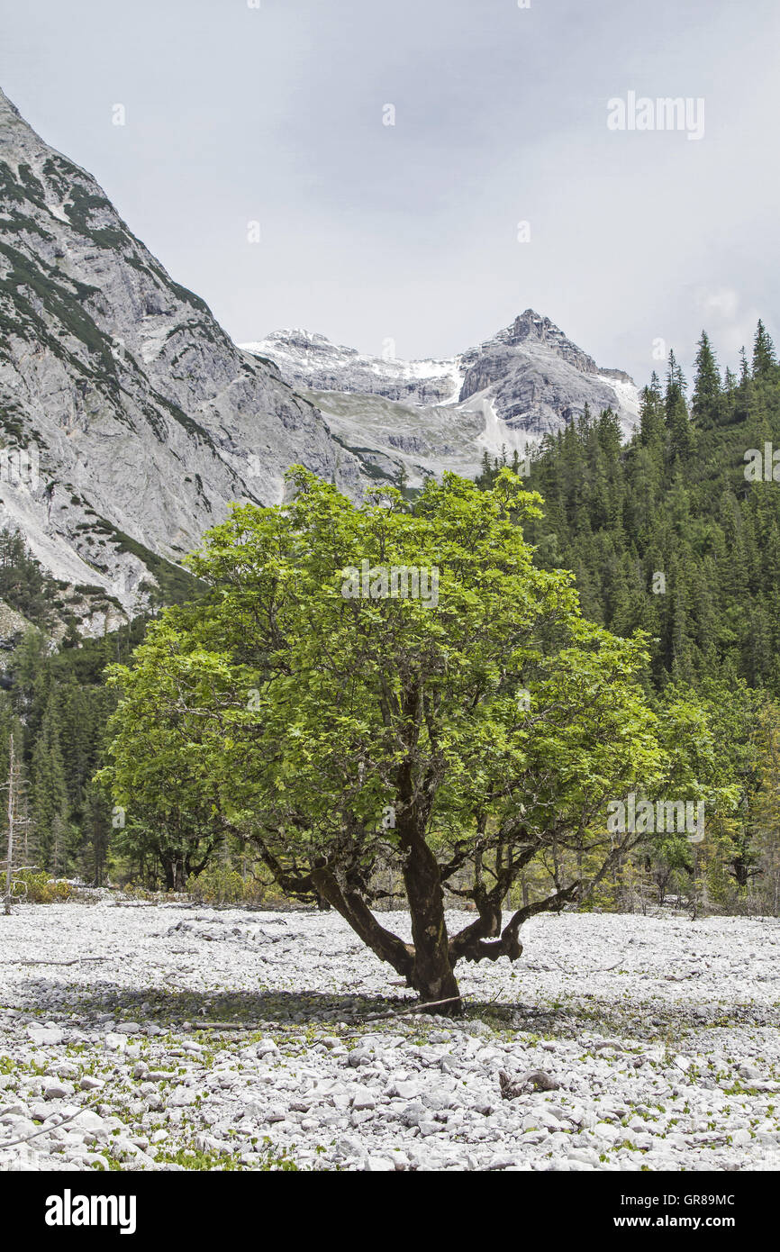 Doomed structure hi-res stock photography and images - Alamy