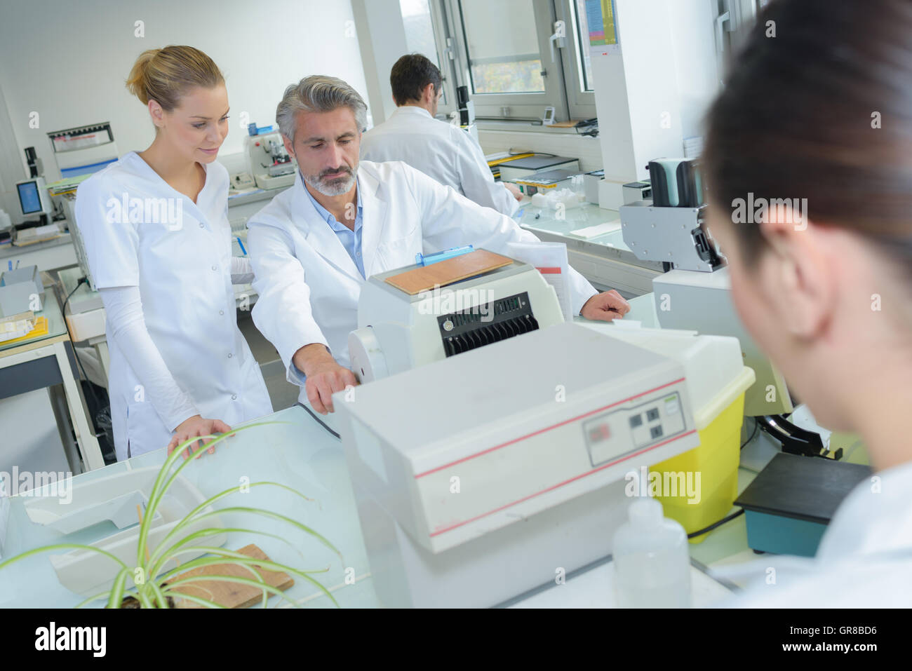 Technicians at work in laboratory Stock Photo - Alamy