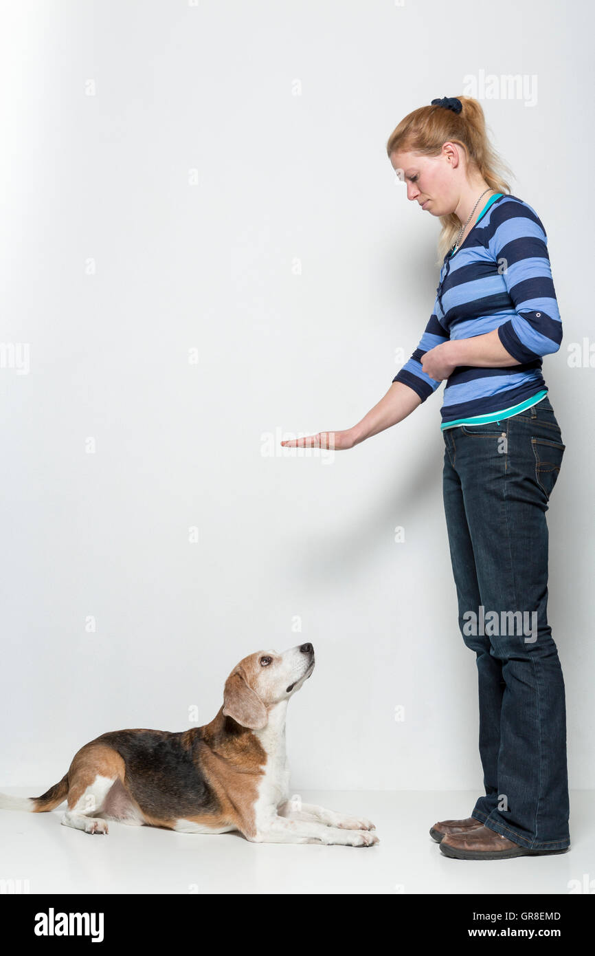 Young Woman Controls Dog With Unique Hand Sign Stock Photo - Alamy