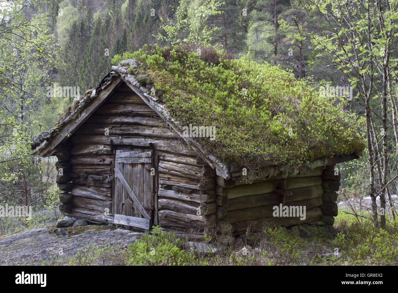 Norwegian farming hi-res stock photography and images - Alamy